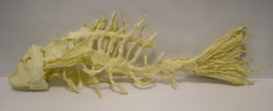 Laboratories and fish skeletons | NSEAD